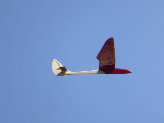 Varlocity Laser & Models. Bird of Time RC Glider Model - Dynaflite